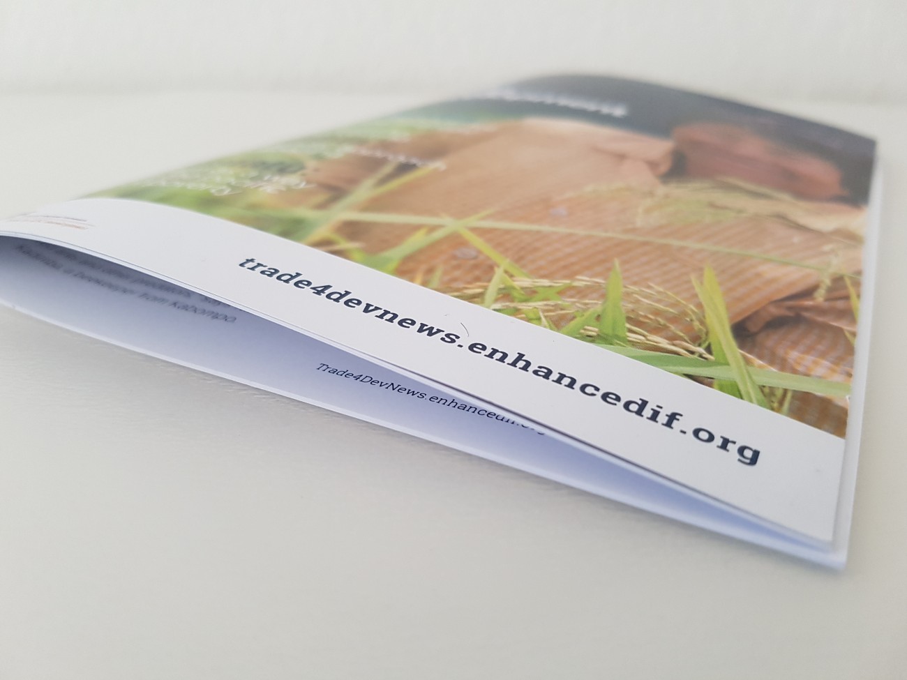 Enhanced Integrated Framework (EIF) | Enhanced Integrated Framework (EIF)