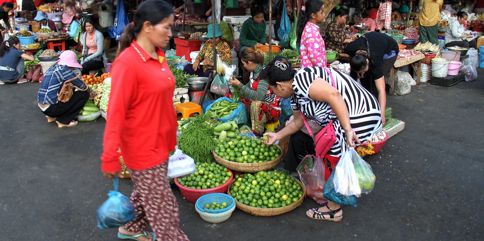 Pierre Sauvé | Enhanced Integrated Framework (EIF)