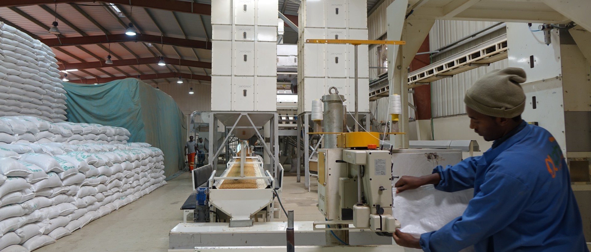 Bruno Casella | Enhanced Integrated Framework (EIF)