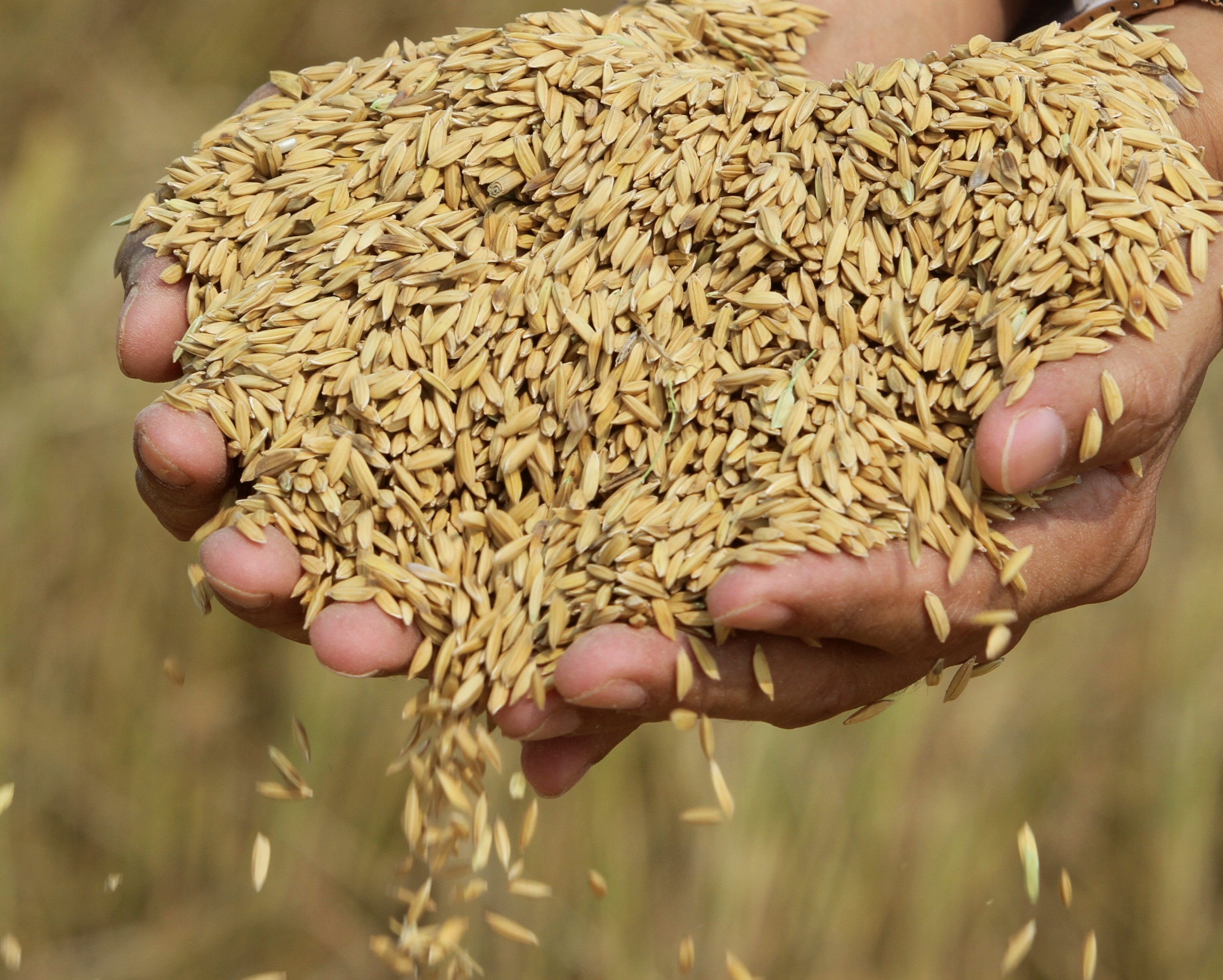 Economic diversification: Why trade matters