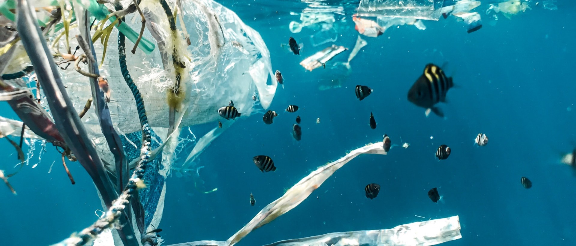 Turning waste into opportunity – Tuvalu's contribution to the circular ...