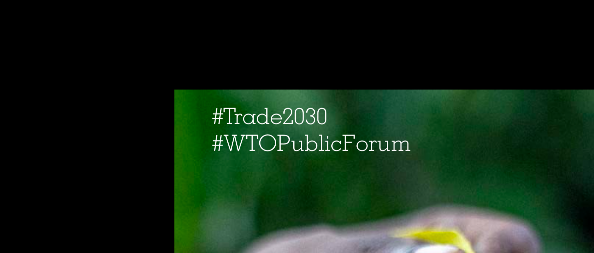 Enhanced Integrated Framework (EIF) | Enhanced Integrated Framework (EIF)