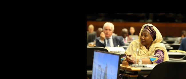 Lisa Cornish | Enhanced Integrated Framework (EIF)